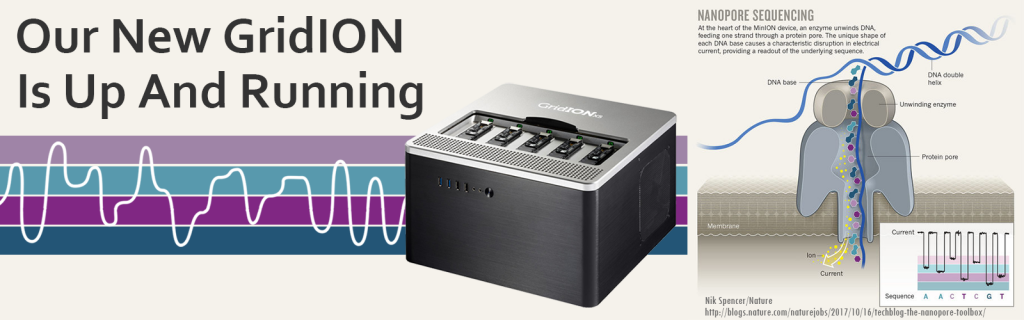 Our New GridION Is Up And Running – NGS Core at BRCAS